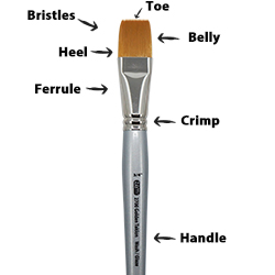 A Paintbrush in All its Glory: Components, Functions, and Structure ...