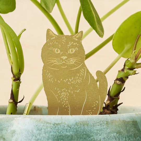 PLANT ANIMAL CAT - The Shoppes at Steve's Ace Home & Garden