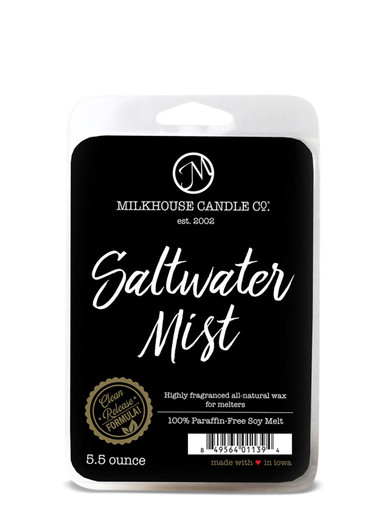WAX MELTS SALTWATER MIST - The Shoppes at Steve's Ace Home & Garden
