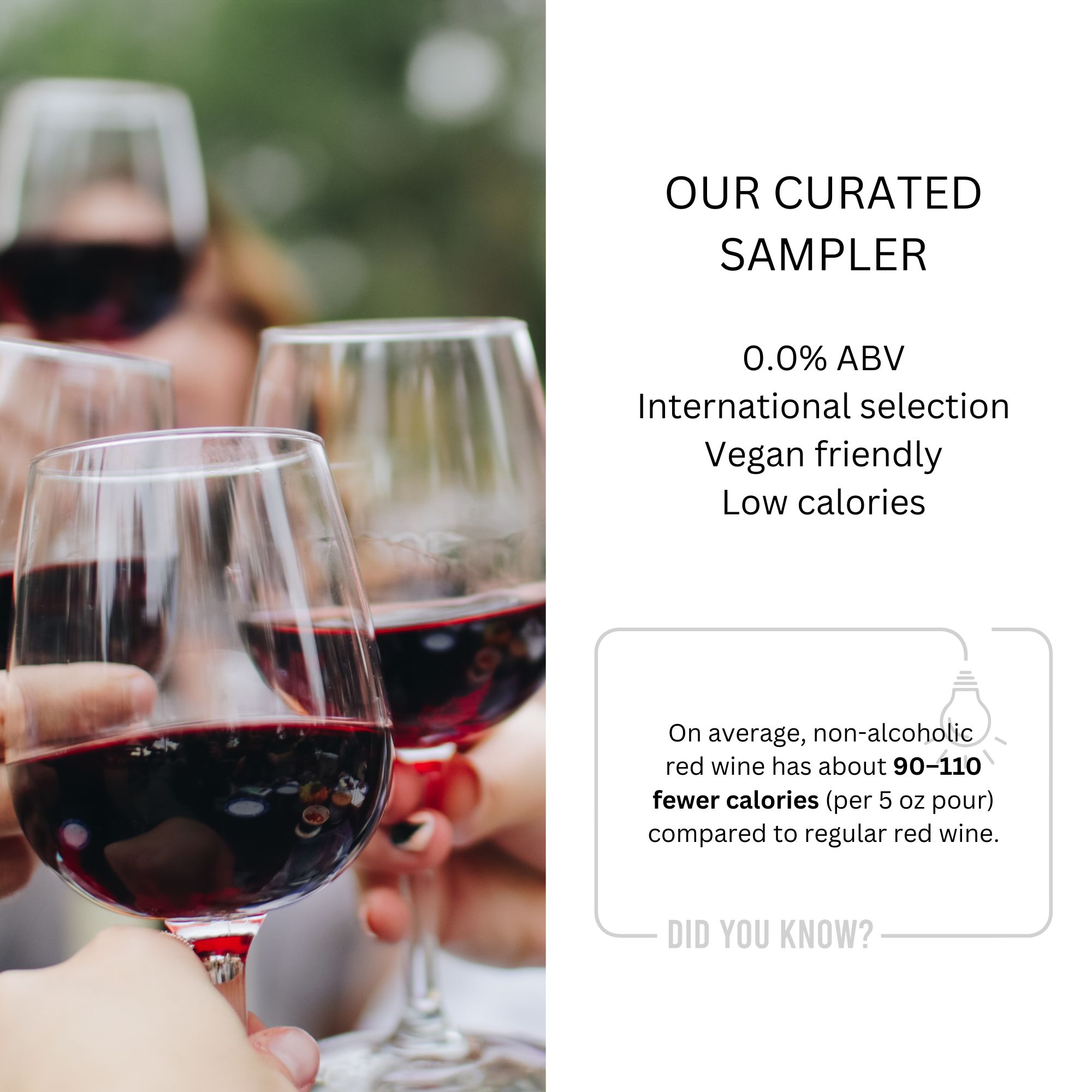 Non Alcoholic Red Wine Set | 0.0% ABV (3 Bottles)