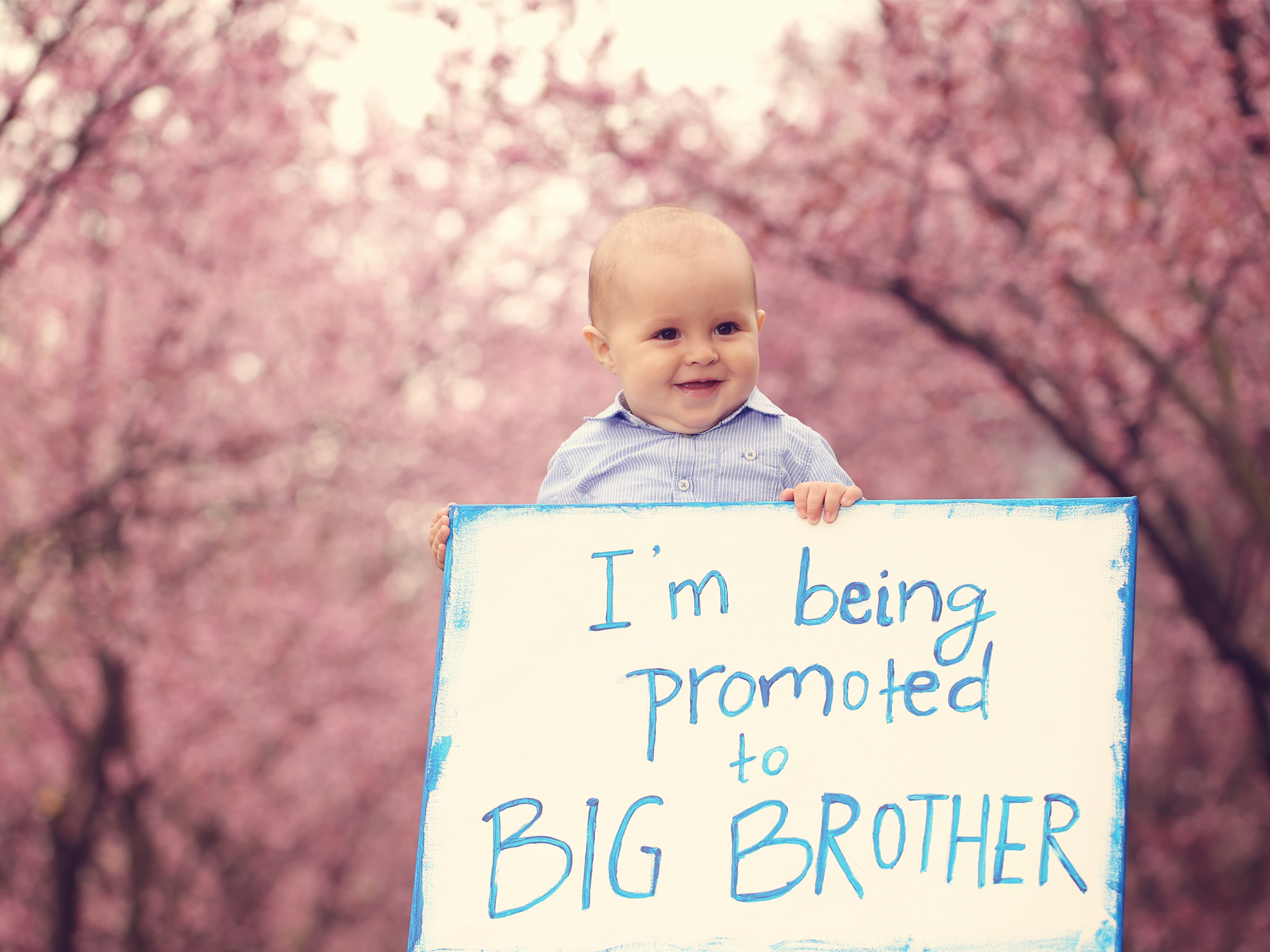 The 9 Best Baby Announcement Ideas - Wines For Mothers