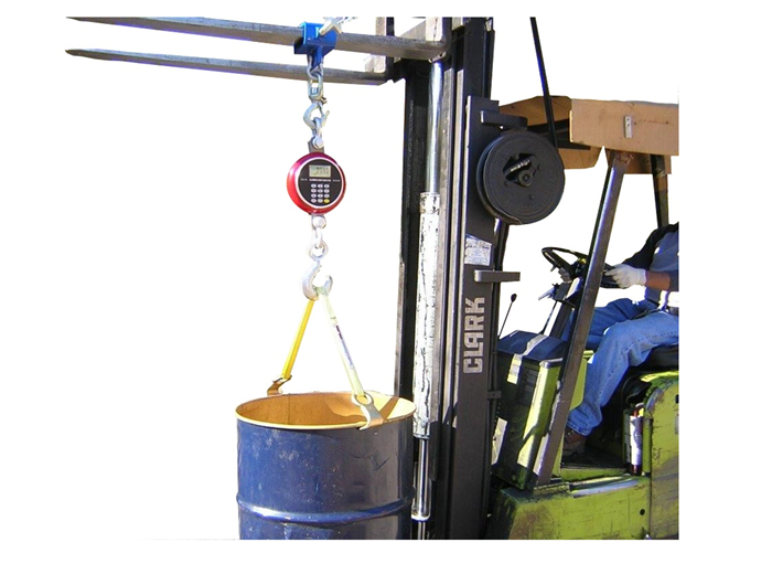 Crane Scales and Easy to Use High Capacity Hanging Scales - Arlyn ...