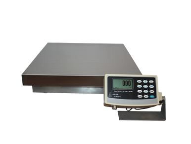 Large Ultra Precision Scales with Super Sensitivity and SAW Technology ...
