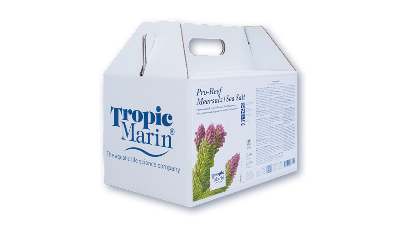 The Deep Clean - Quality Marine