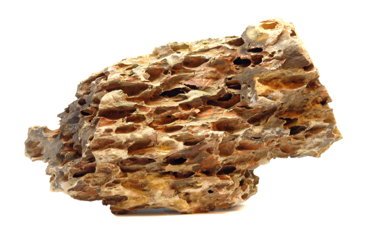 Dragon Stone Ecoscape - Quality Marine