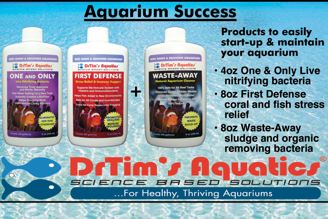 Moving Tanks and Thinking Big - Quality Marine