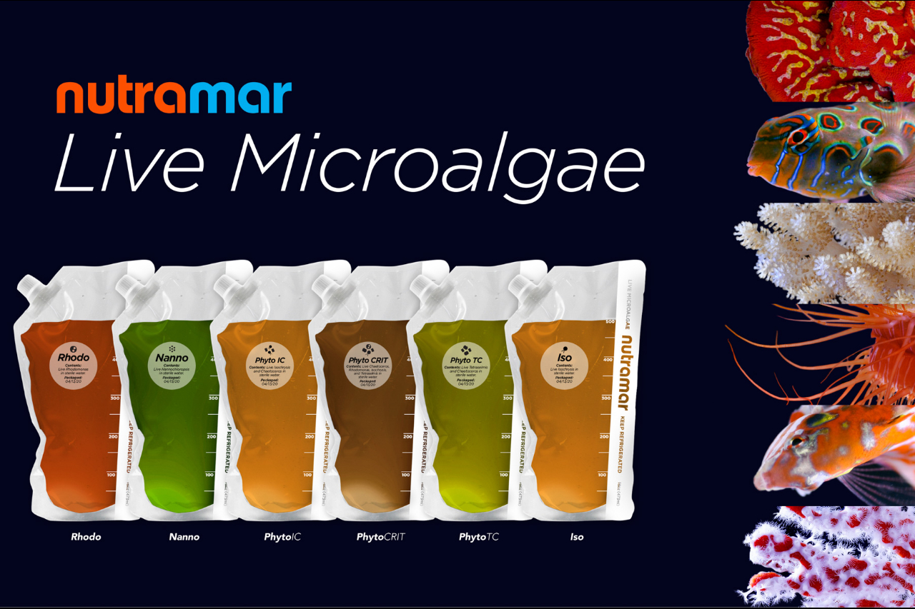 Make Your Aquarium Thrive with Nutramar Live Foods - Quality Marine