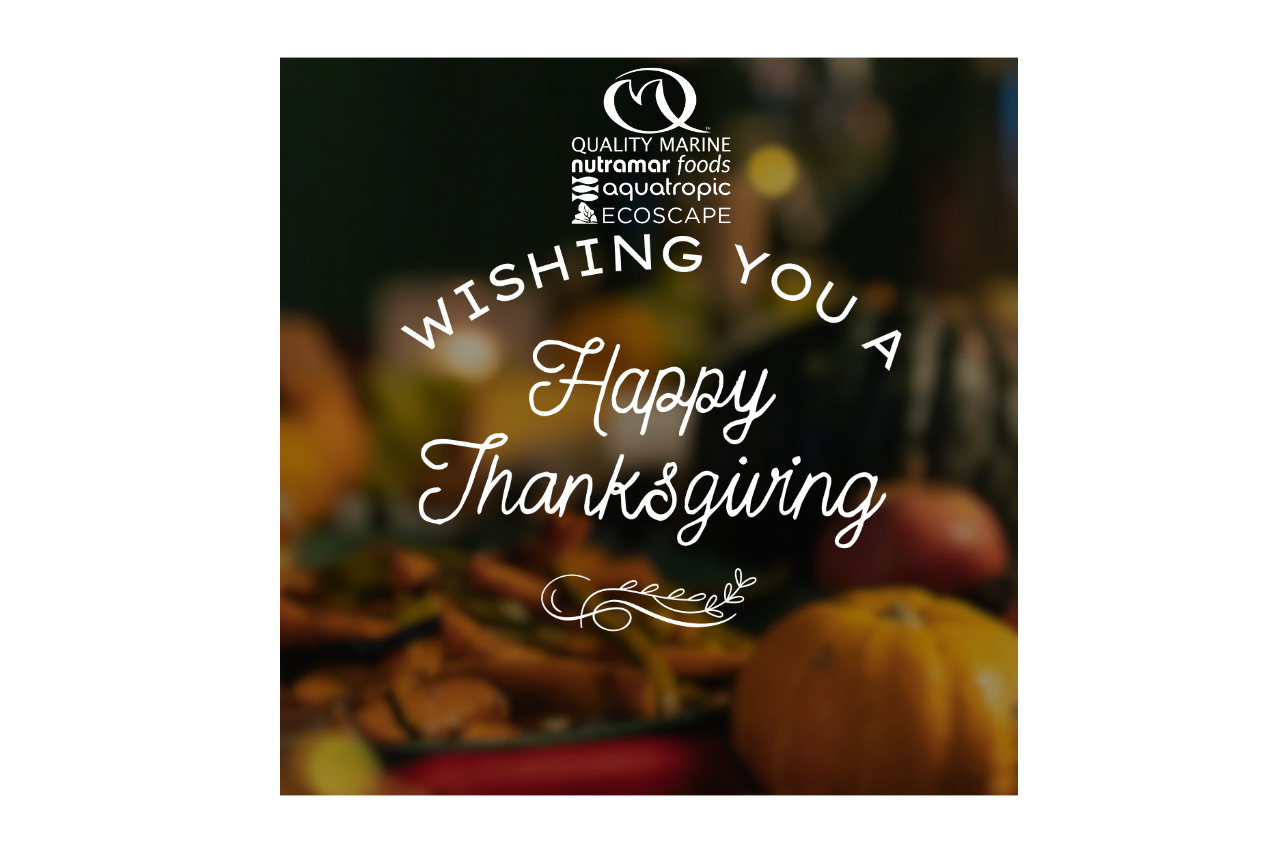 Happy Thanksgiving! - Quality Marine