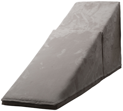 Royal Ramps Dog Ramp with Landing (21" Tall)