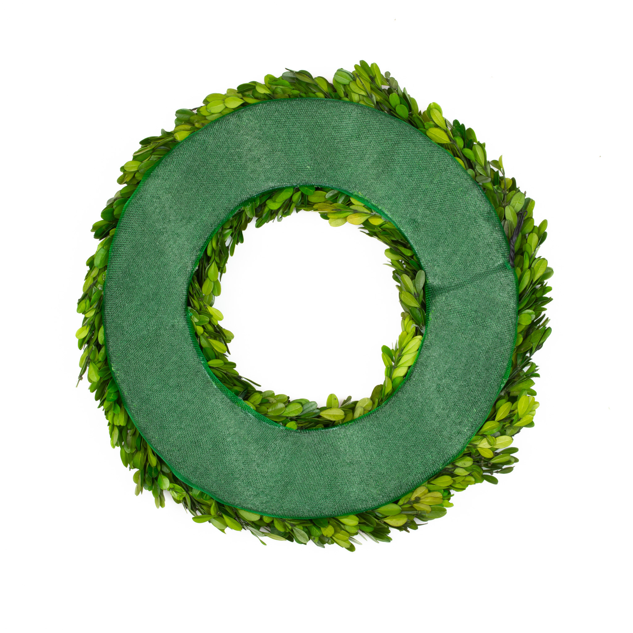 Preserved Boxwood Wreath - Round 16" | Mills Floral Company