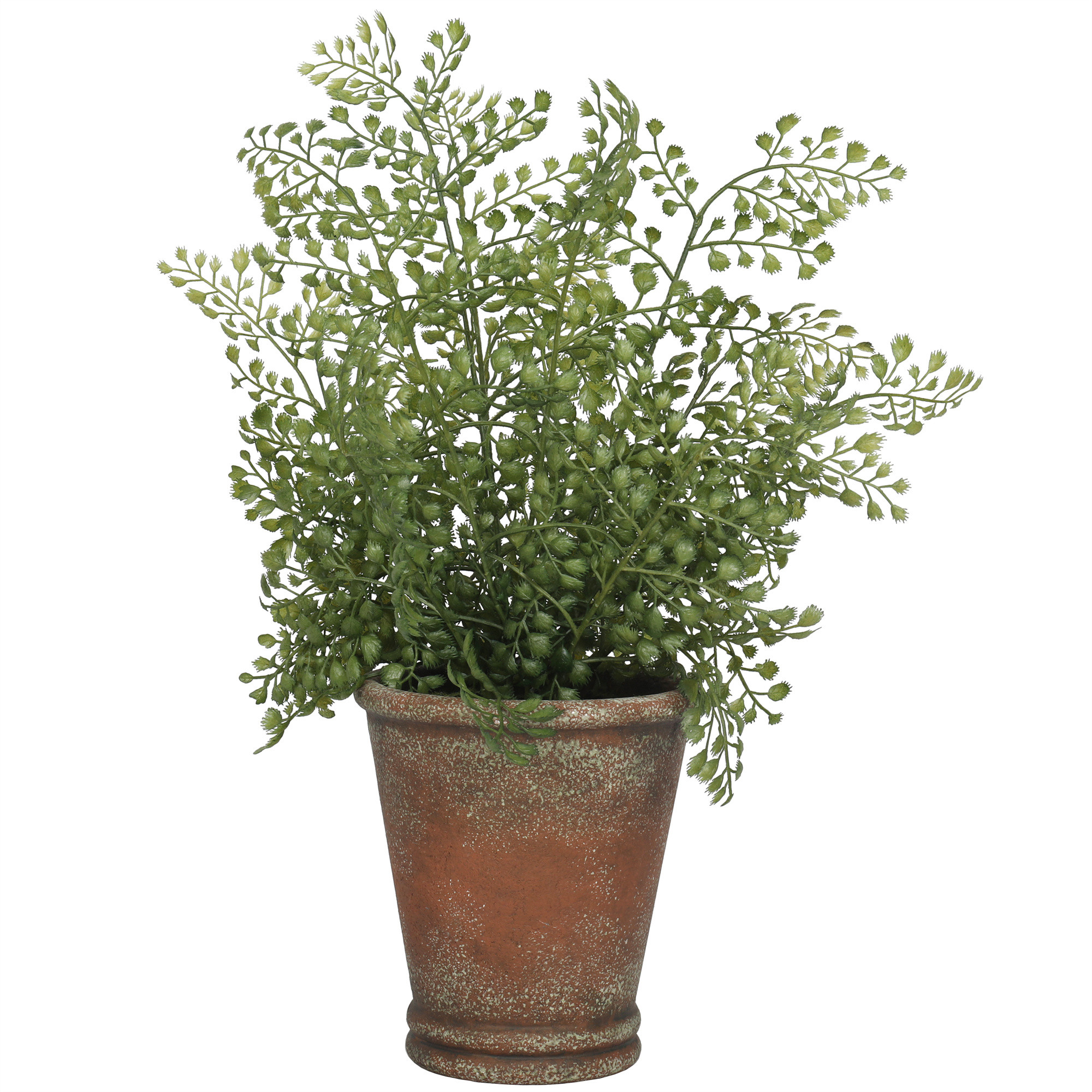 Artificial Maidenhair Fern Plant Artificial Trailing Fern House Plant