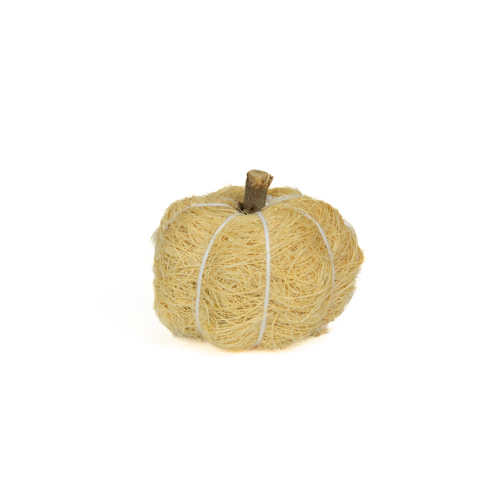 COCO FIBER PUMPKINS CREAM - 9 PIECE - Mills Floral Company