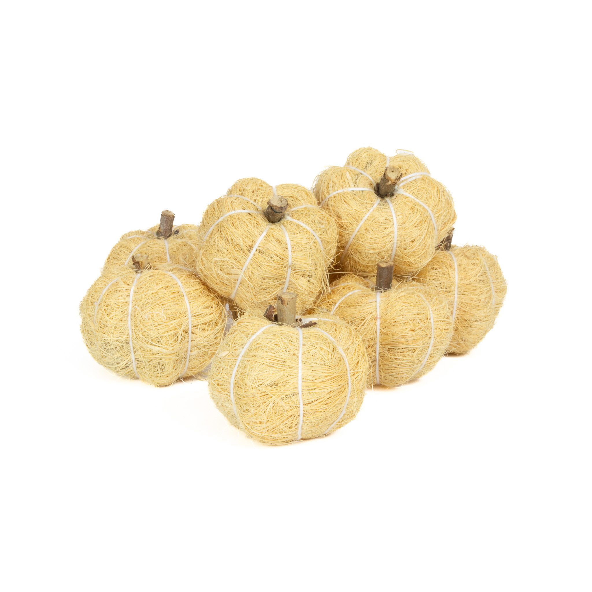 COCO FIBER PUMPKINS CREAM - 9 PIECE - Mills Floral Company