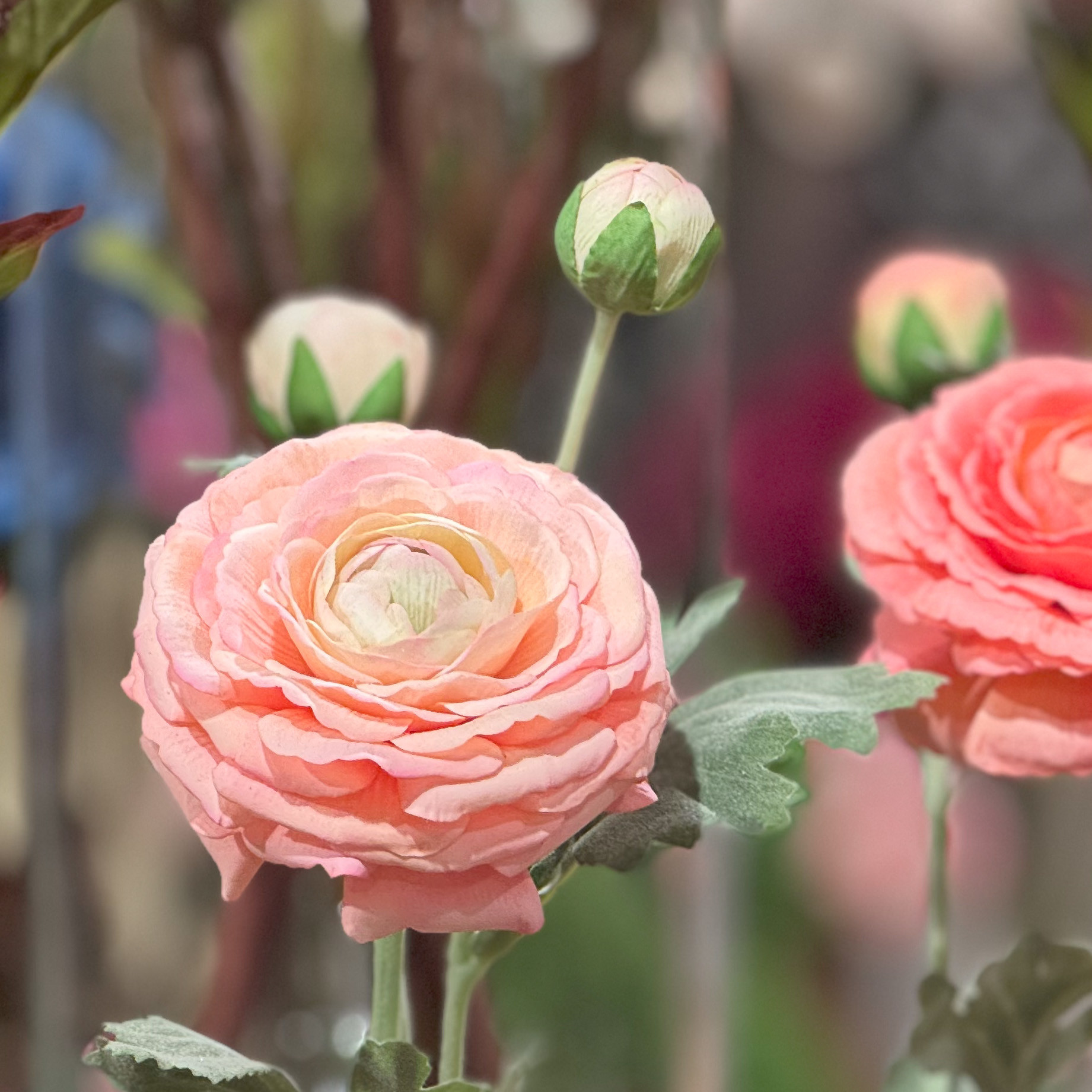 REAL TOUCH RANUNCULUS - CORAL - 19 INCH - Mills Floral Company