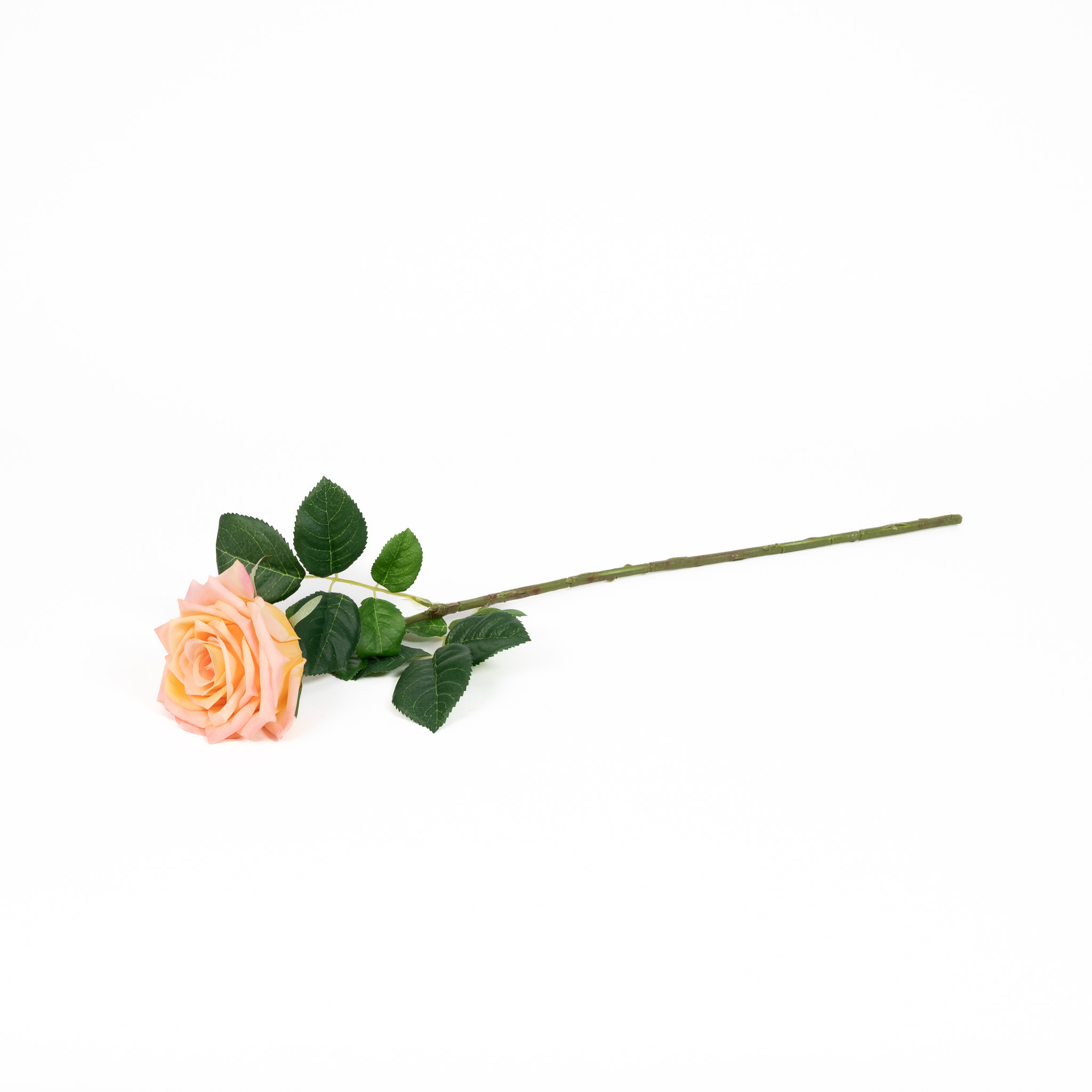 REAL TOUCH VINTAGE ROSE - PEACH BLUSH - 24 INCH - Mills Floral Company