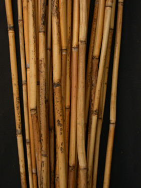 River Cane - Natural | Mills Floral Company