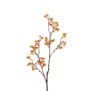 BITTERSWEET SPRAY - 24 INCH - Mills Floral Company