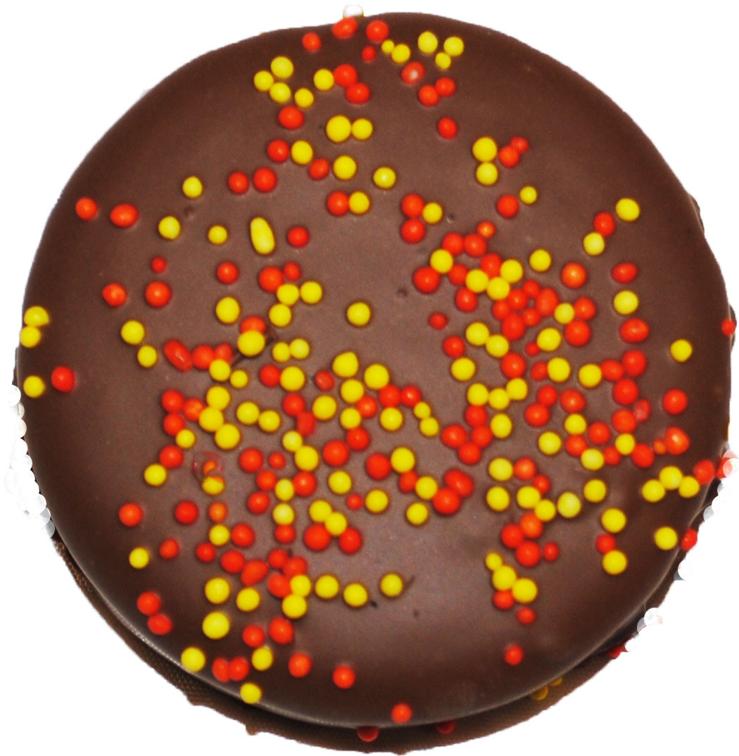 Chocolate Dipped Cookies - Skips Candies