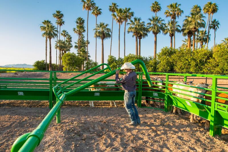 CHUTE HELP ADJUSTABLE ROPING BOX SET - DENNARDS