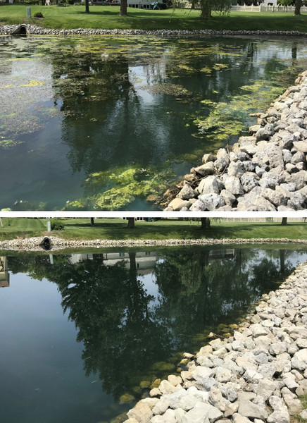 CRYSTAL BLUE CRYSTAL PLEX ALGAE CONTROL - DENNARDS