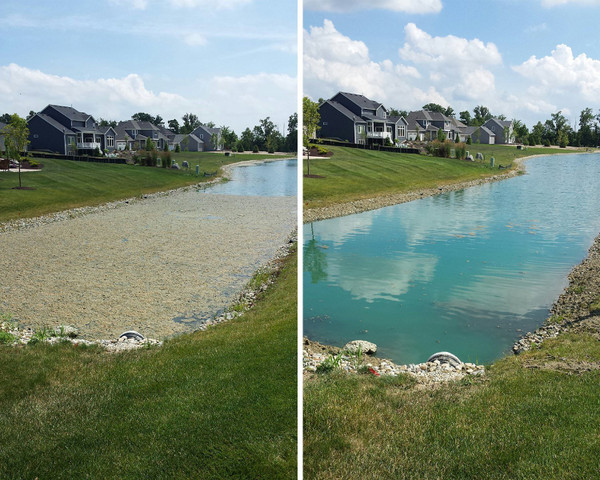 CRYSTAL BLUE CRYSTAL PLEX ALGAE CONTROL - DENNARDS