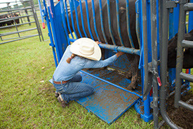 PRIEFERT SQUEEZE CHUTE - MODEL S04 - DENNARDS