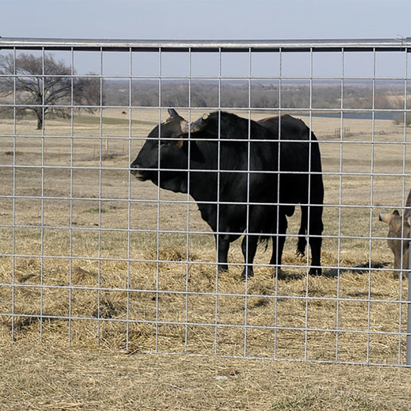 6" X 6" BULL PANEL 16FT LONG FROM DENNARDS