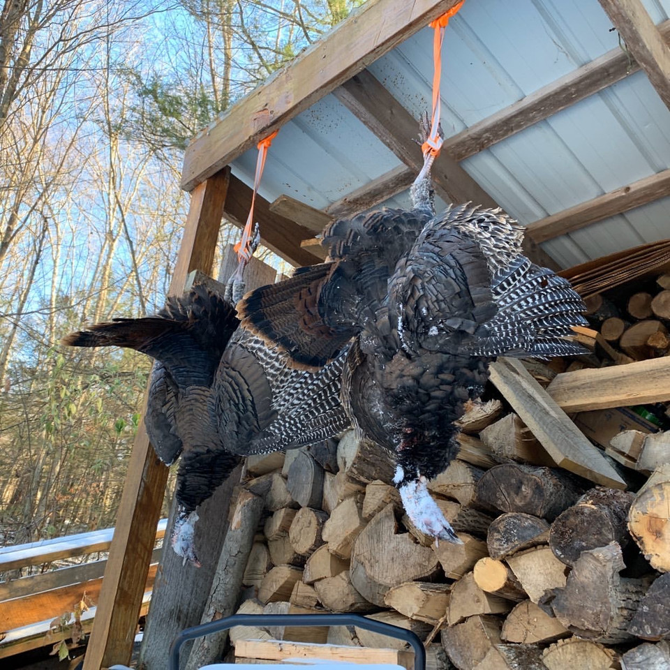 Multus Perfect Turkey Tote - Multus Perfect Turkey Sling