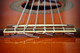 Steel vs. Nylon Strings: What's the Difference? - Strings and Beyond