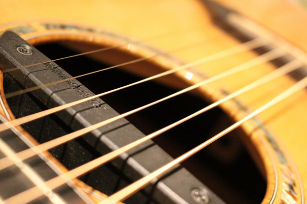 Acoustic Perfection: Why Dragon Skin+ Coated Strings Are a Game-Changer ...