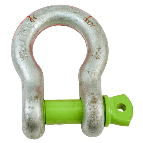 1.25 in. Alloy Screw Pin Shackle 18T | ECTTS