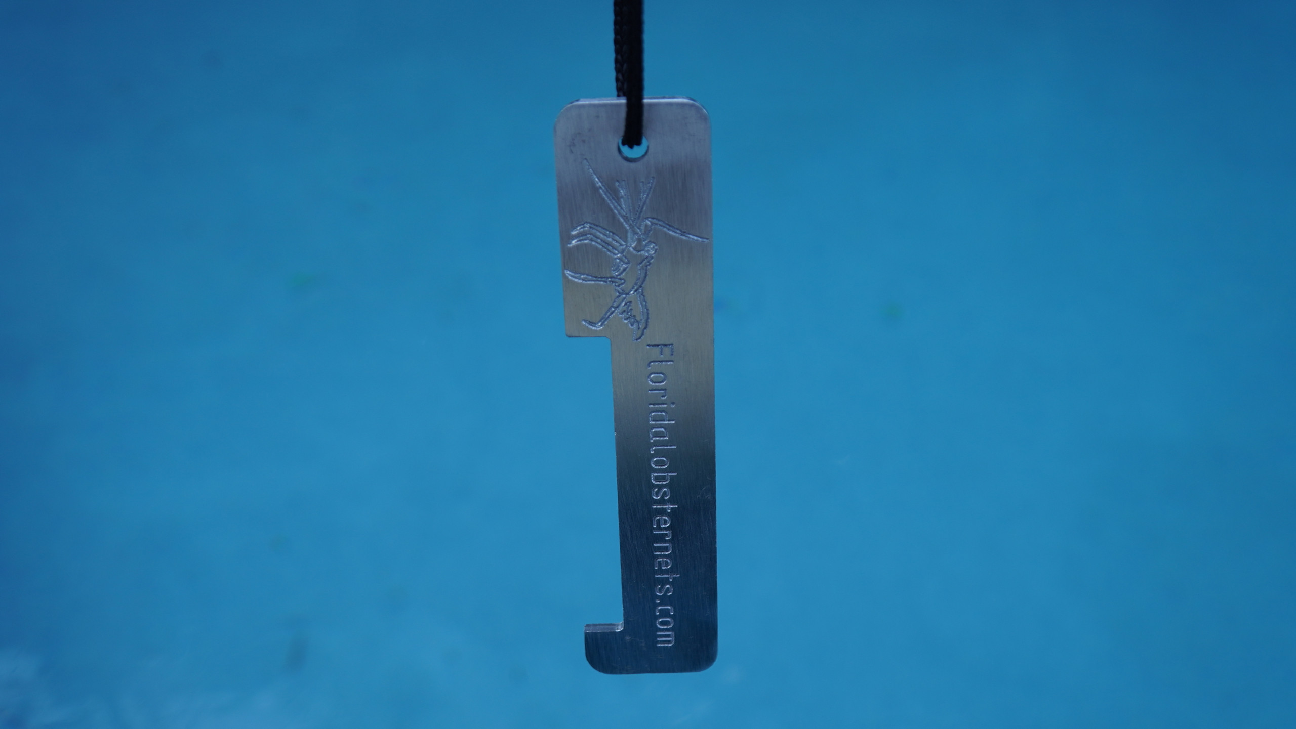 Lobster Gauge