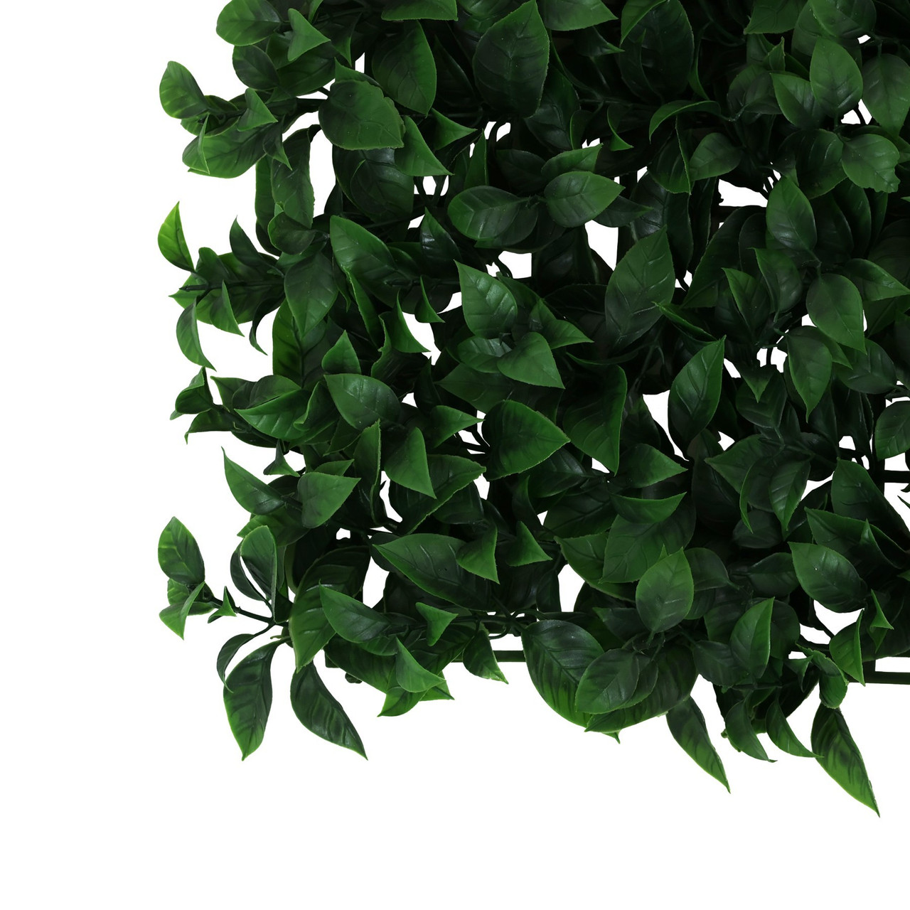 Durable 50cm x 50cm Exterior Bay Wall for Outdoor Spaces