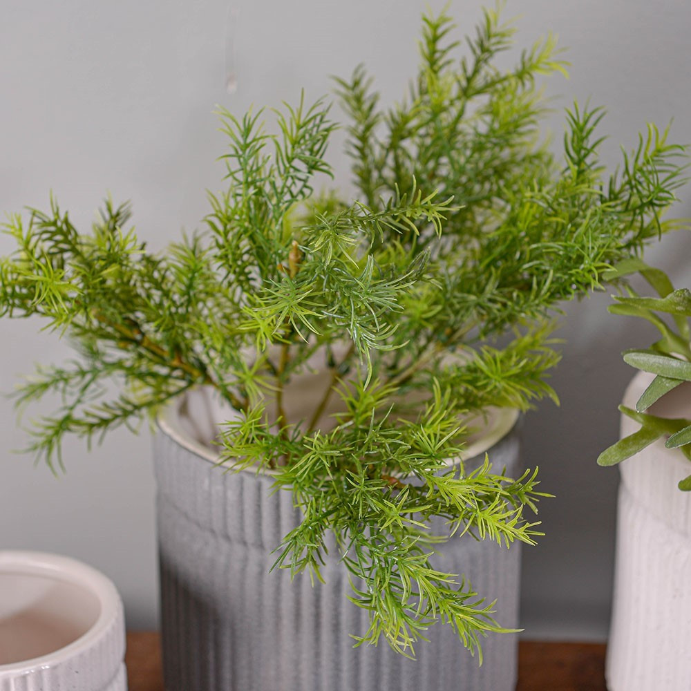 Springeri Bush Artificial Plant (35cm) - Vibrant Decorative Foliage