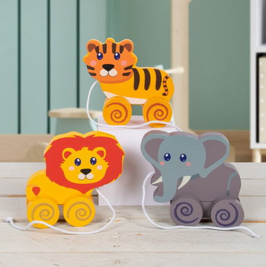 Interactive Colorful Pull Along Zoo Animal Train Set for Toddlers