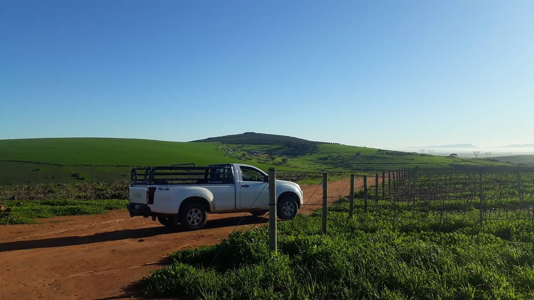 A guide to Beaujolais wine | Wickhams