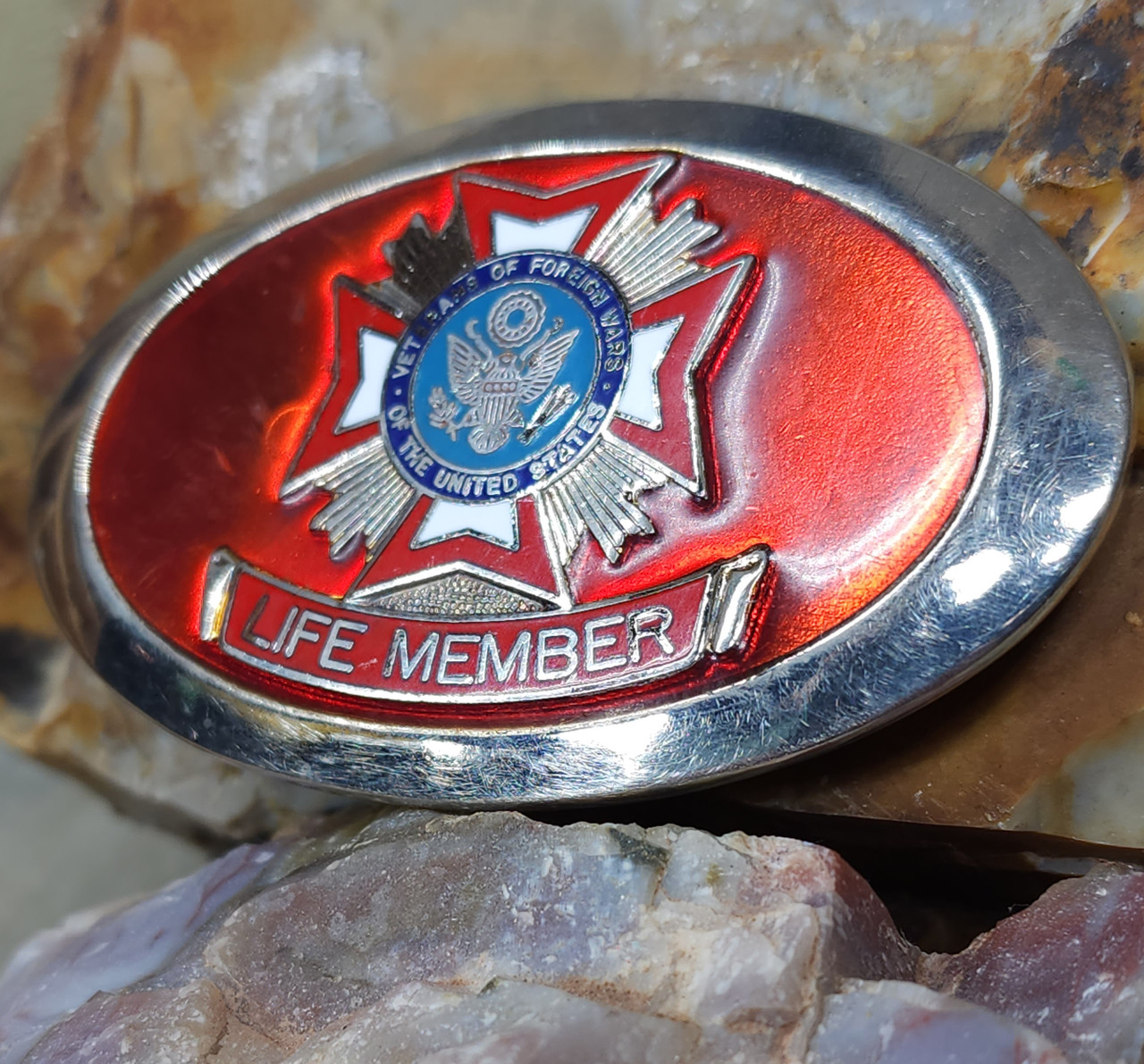 Vintage VFW Veterans of Foreign Wars Vets Club Life Member Enameled ...