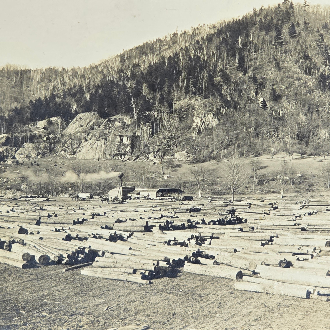 Antique Large Format Logging Sawmill Log Yard Photo Boarded Photograph ...