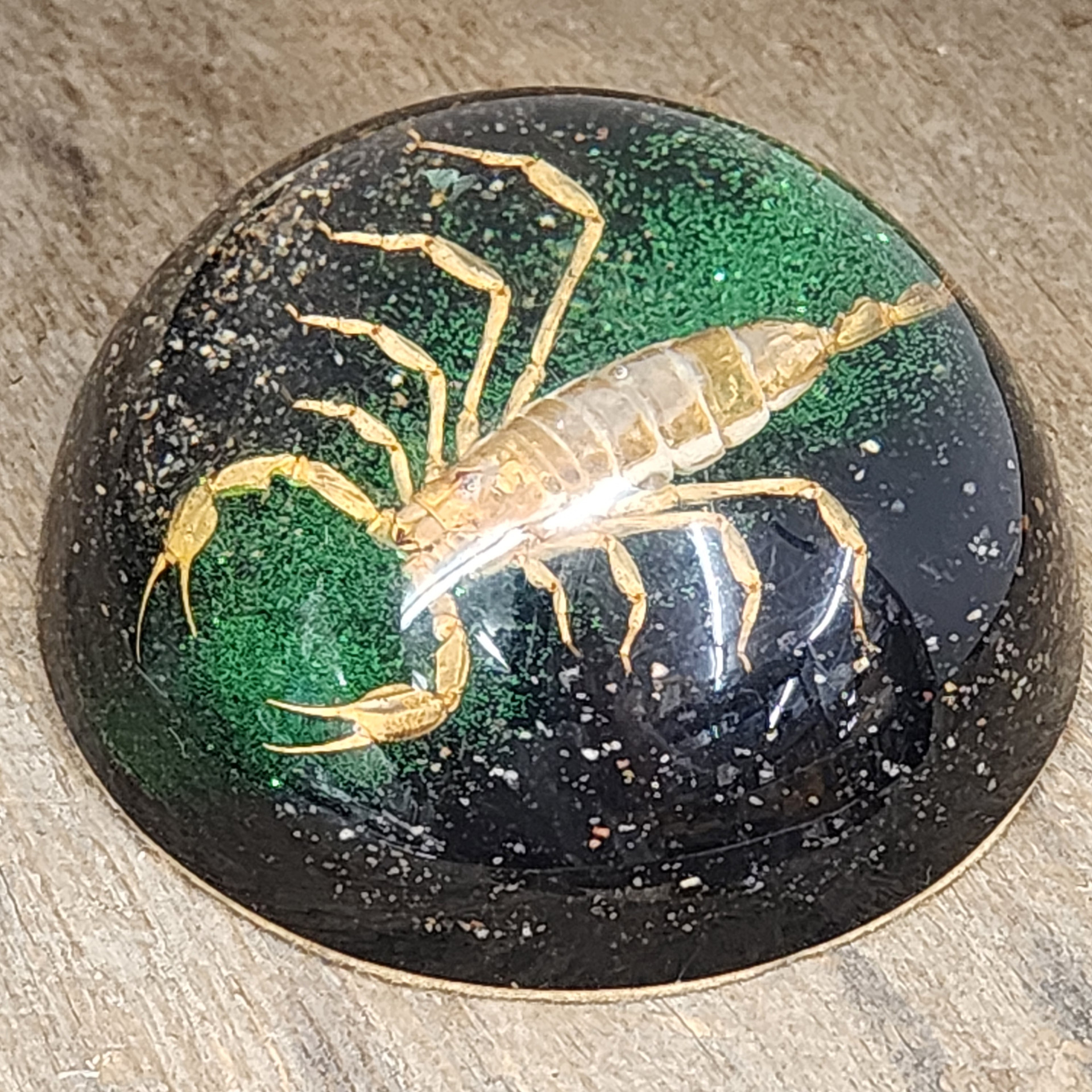 Vintage Spider Scientific Specimen Lucite Resin Encased Spiders ...