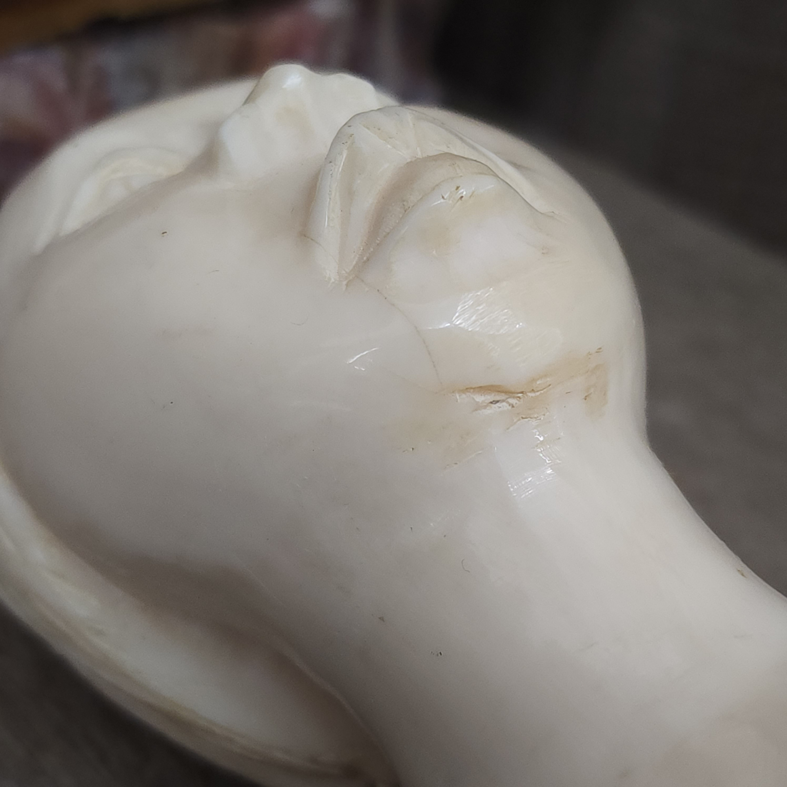 Antique Carved African Woman Ivory Bust Female Natural Folk Art Carving ...
