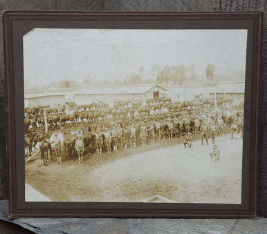 Antique World War I Mounted Photo Large Format France Horse Barn ...