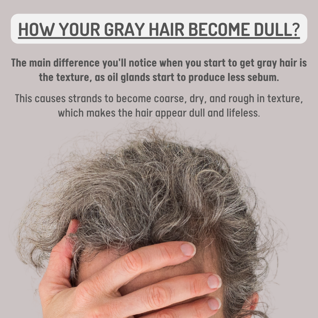 How your gray hair become dull? - Just Nutritive