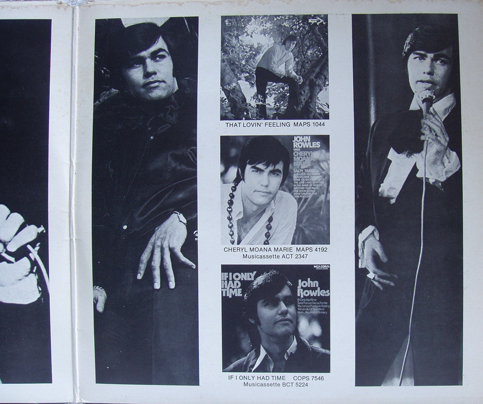 Pop Vocal - JOHN ROWLES Gold (Compilation) 2x Vinyl 19xx