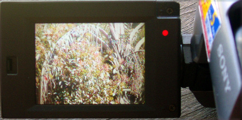 1997 SONY Hi-8 Camcorder Model: CCD TRV24E PAL With Tape (AS IS)