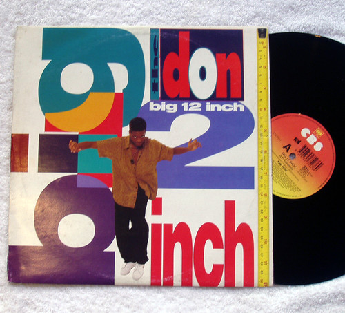 RnB Hip Hop - The Don Big 12 Inch Vinyl 1991