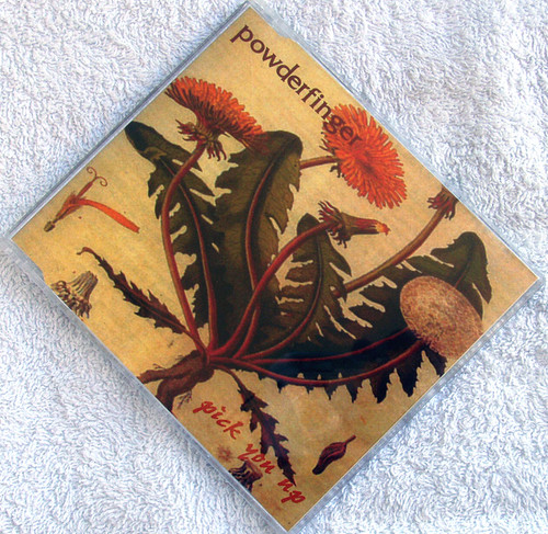 Rock - Powderfinger Pick You Up CD Maxi 1996