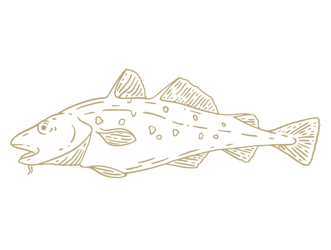 Regal Fish Supplies Limited Brands