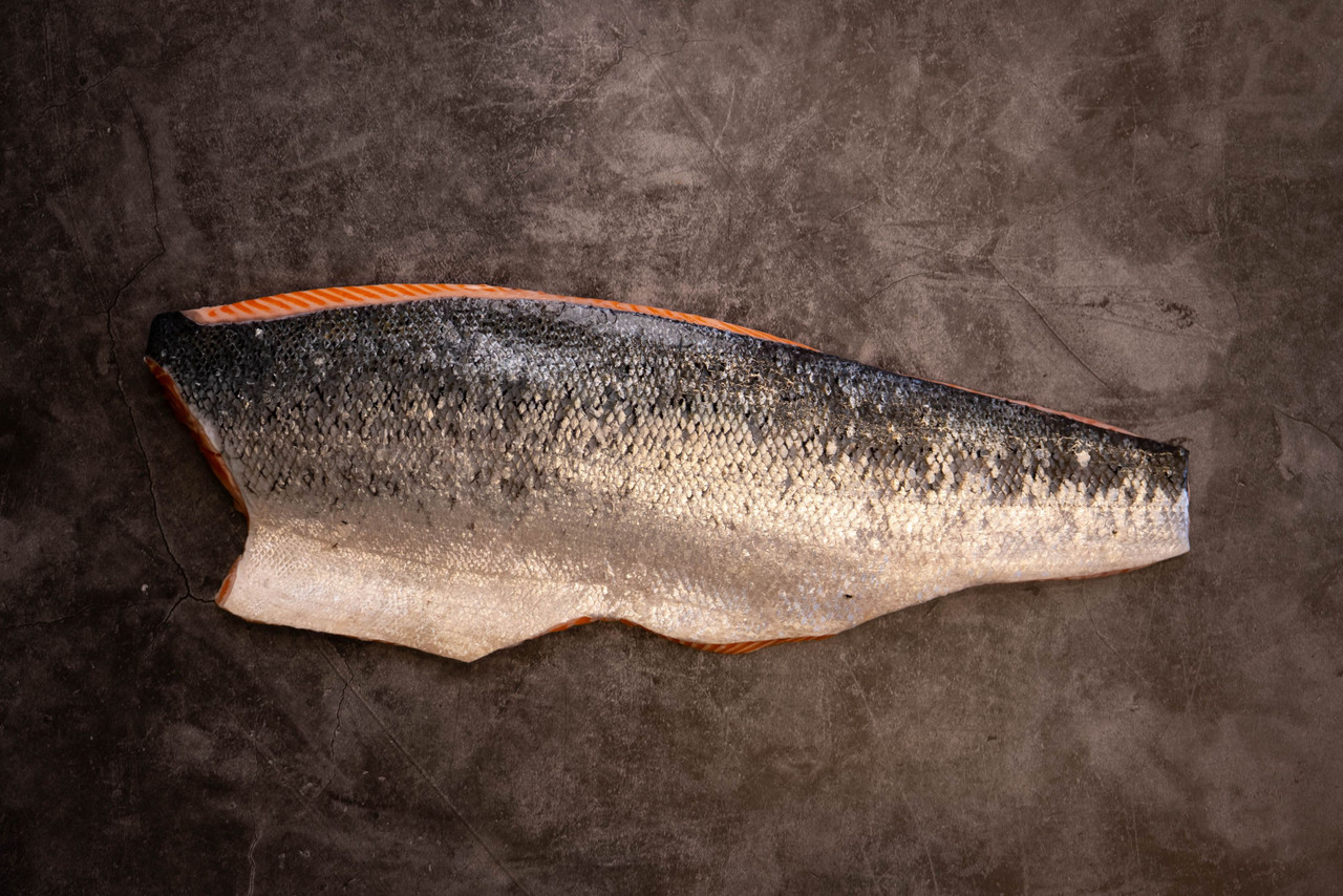 Salmon Fillet | Regal Fish