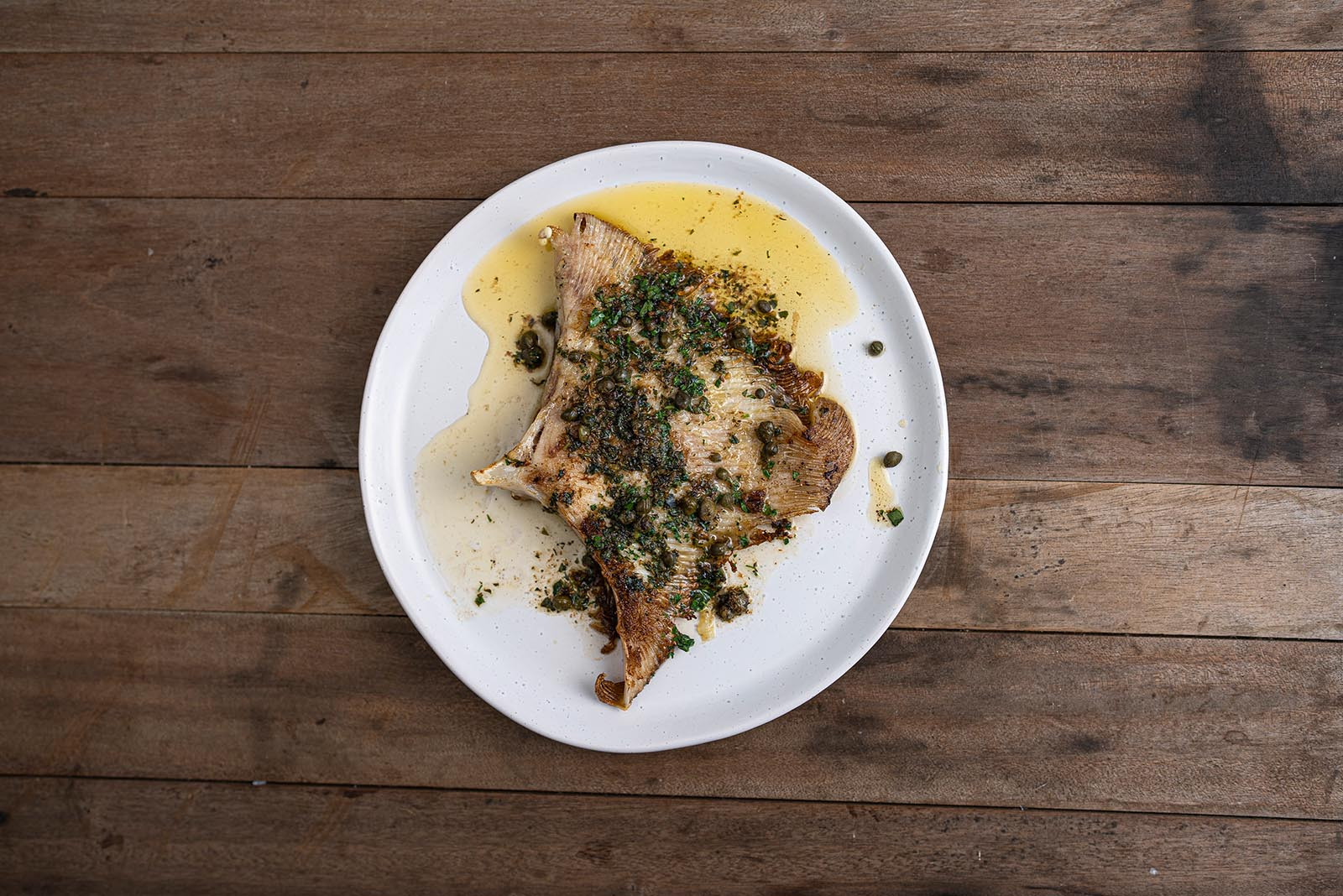 Ray Wings | Regal Fish