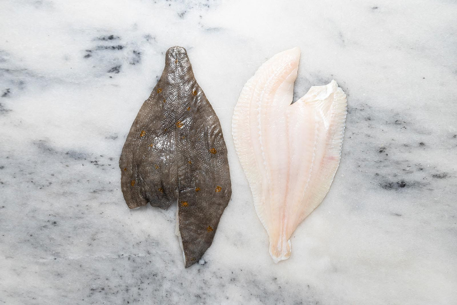Plaice Fillets - Regal Fish Supplies Limited